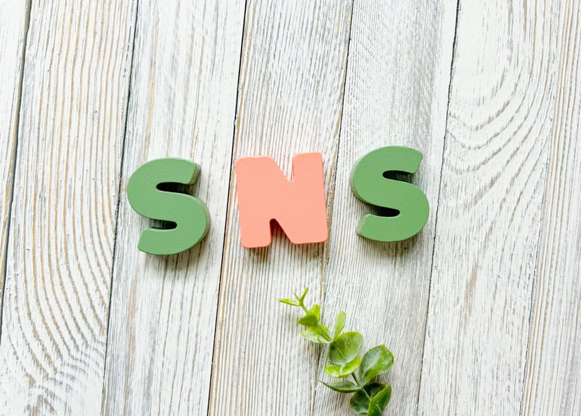 SNSを使った選挙運動の注意点とは？禁止事項をわかりやすく解説